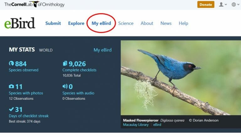 Best Birding Apps [The Birdwatchers Guide For 2022] - Birdwatching Buzz