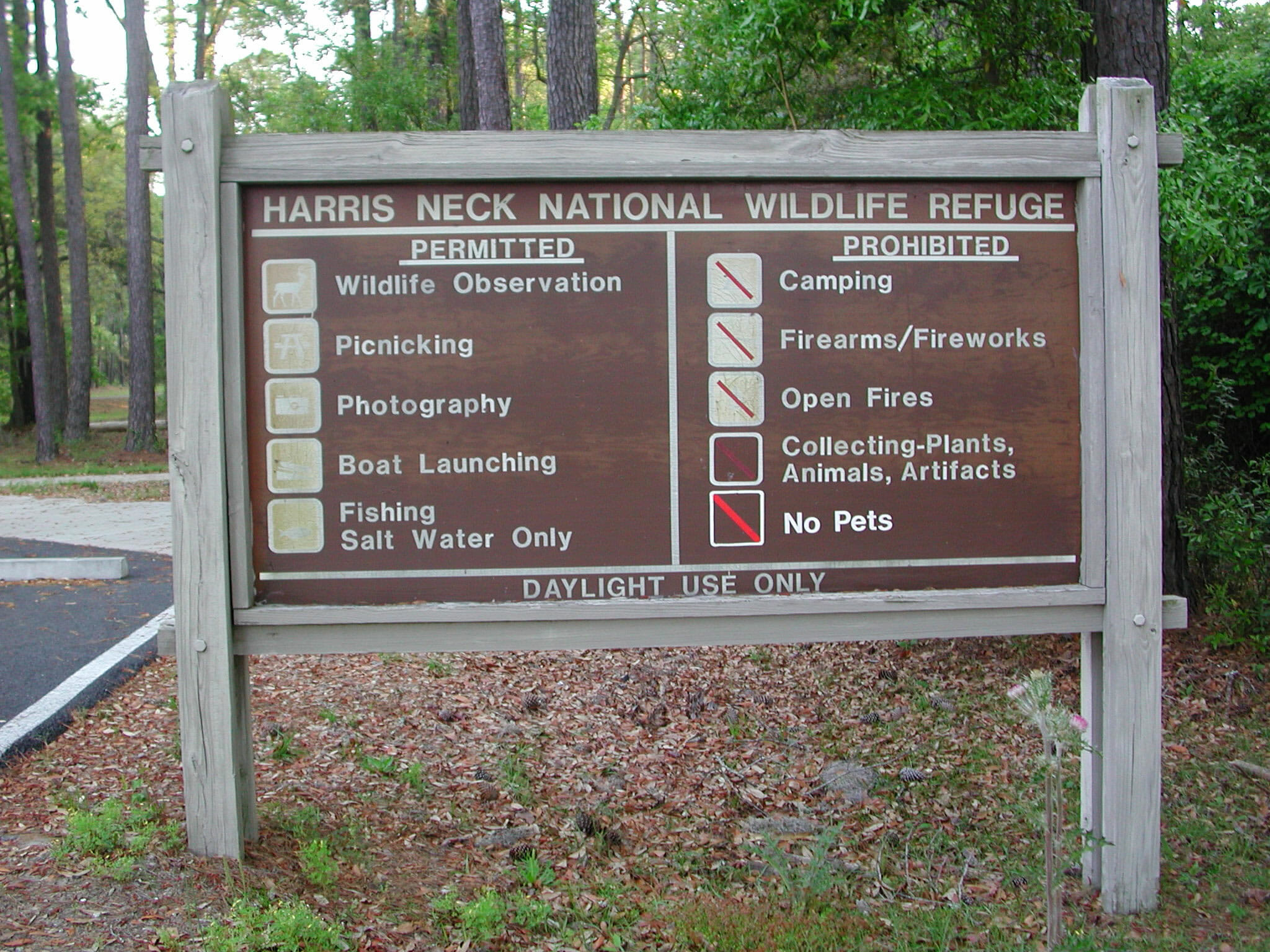 Hawks In Georgia: 8 Hotspots on the Colonial Coast Birding Trail ...