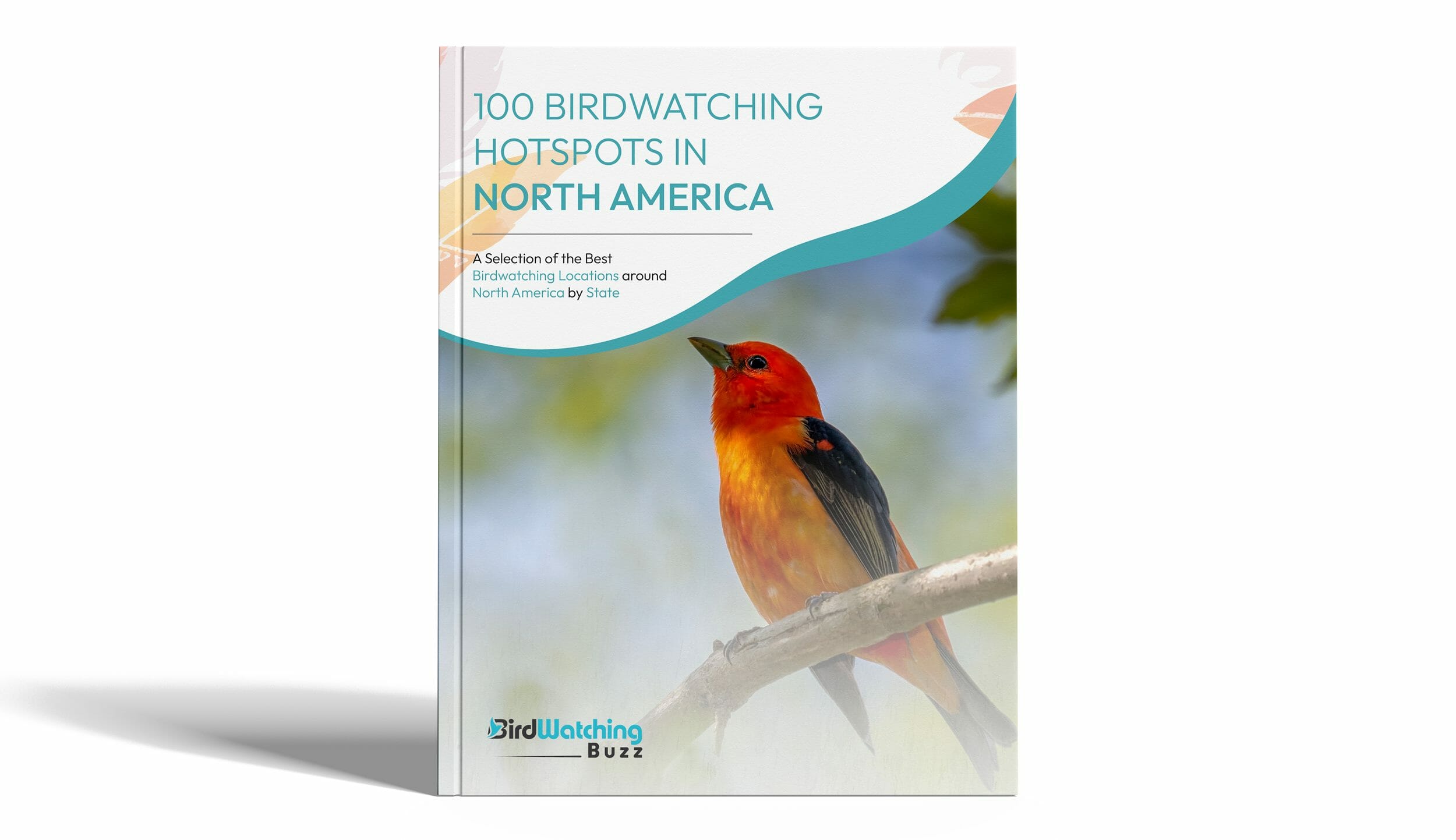 100 Bird Watching Hotspots in North America [State-by-State Guide ...