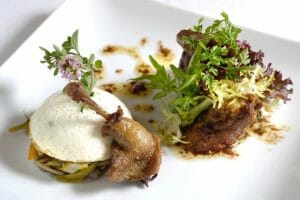 Do People Eat Pigeons? [An Exploration into an Unusual Delicacy ...